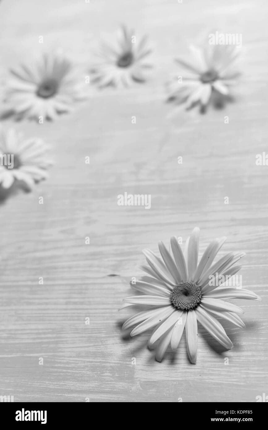 Small rustic table Black and White Stock Photos & Images - Alamy