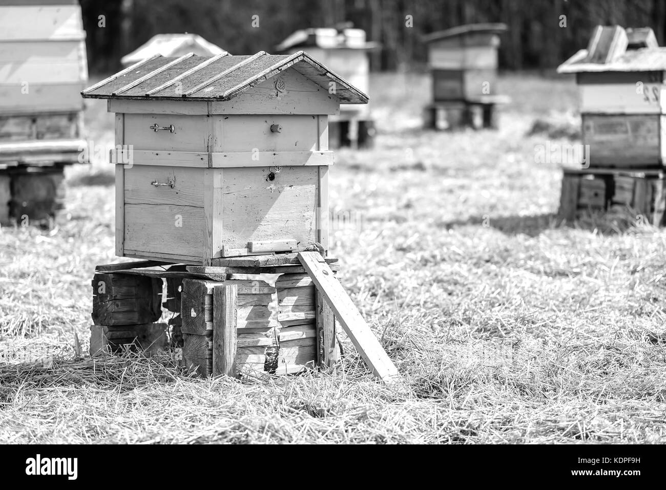 Bee hive in rural Black and White Stock Photos & Images - Alamy