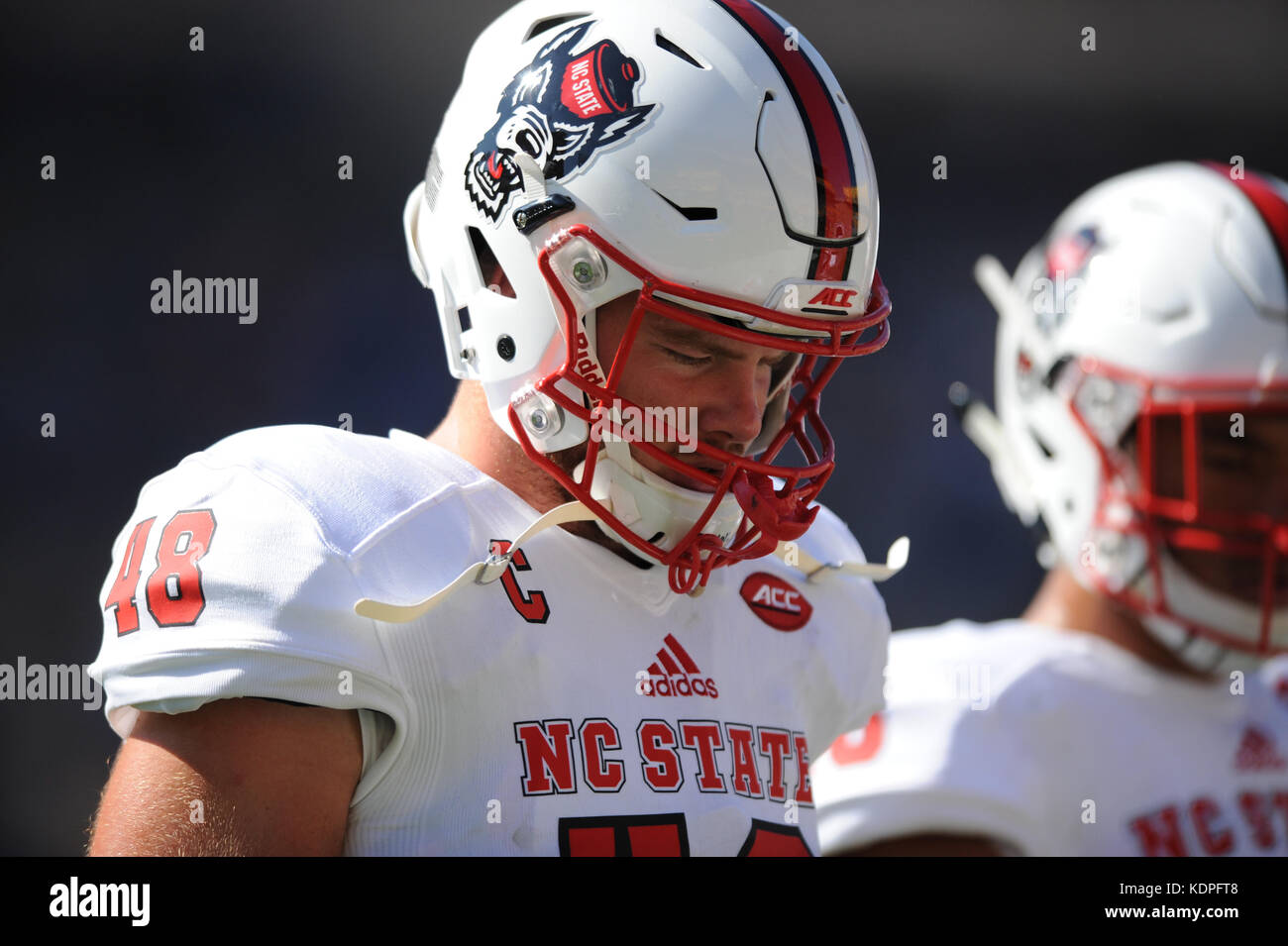 Cole cook wolfpack hi-res stock photography and images - Alamy