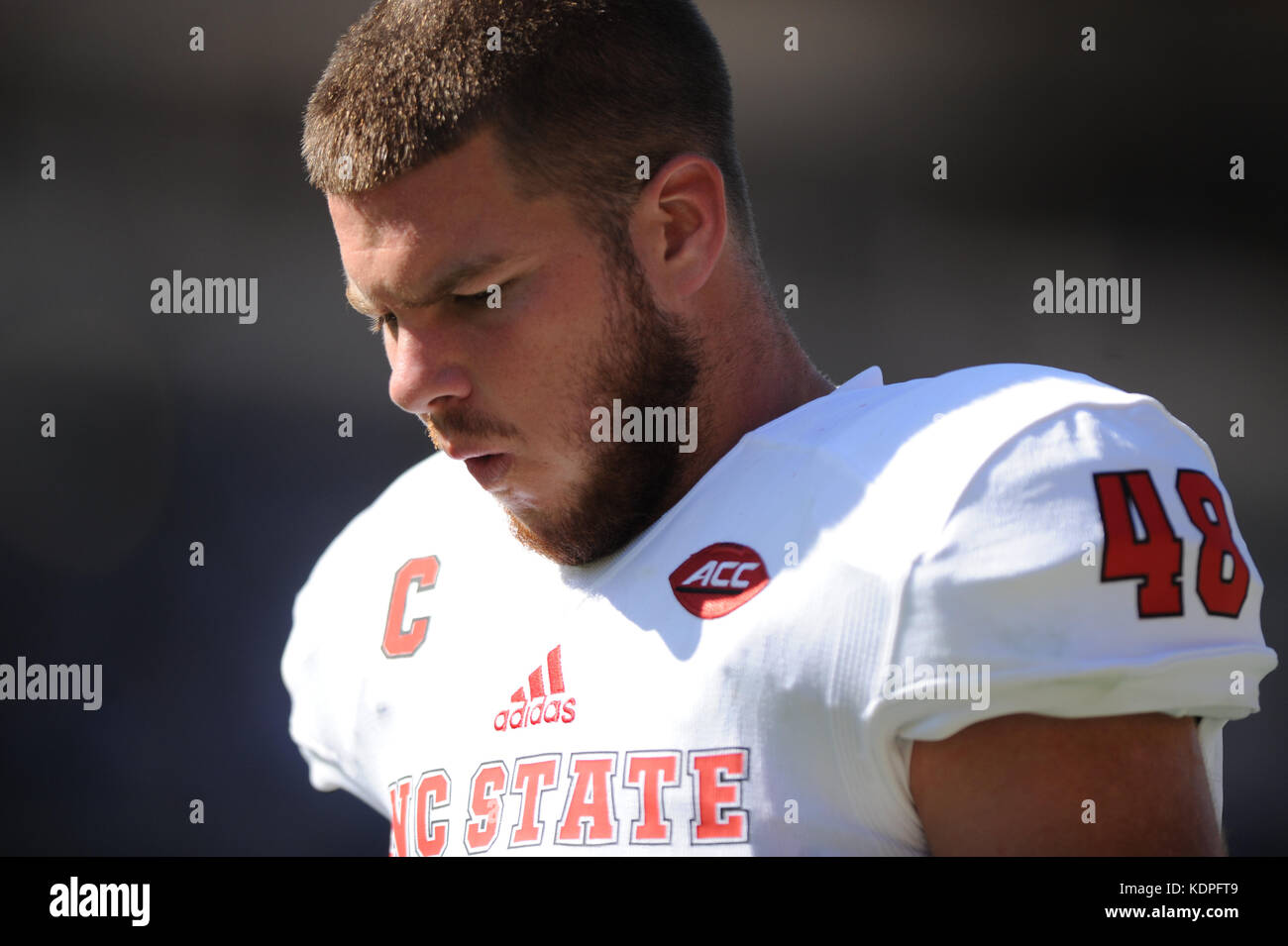Cole cook wolfpack hi-res stock photography and images - Alamy