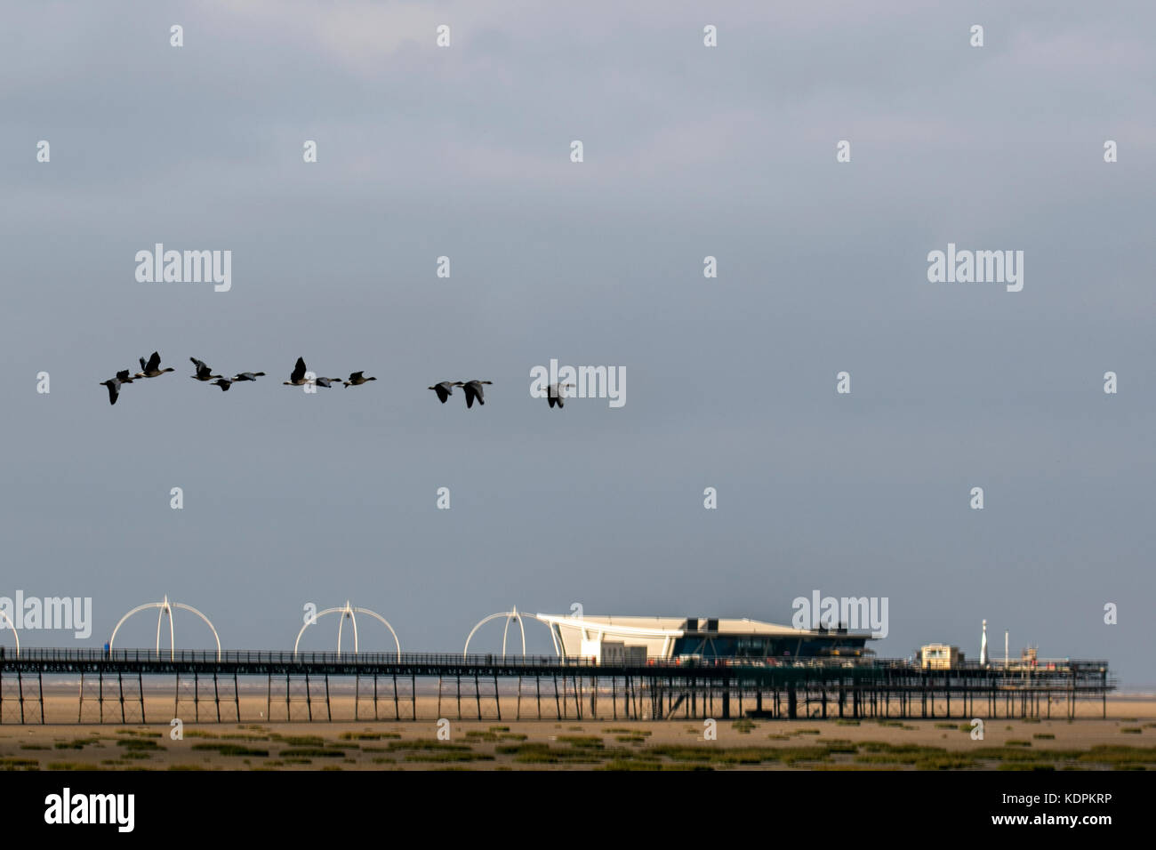 Southport, Merseyside, UK Weather 15th October, 2017. Migratory birds ...