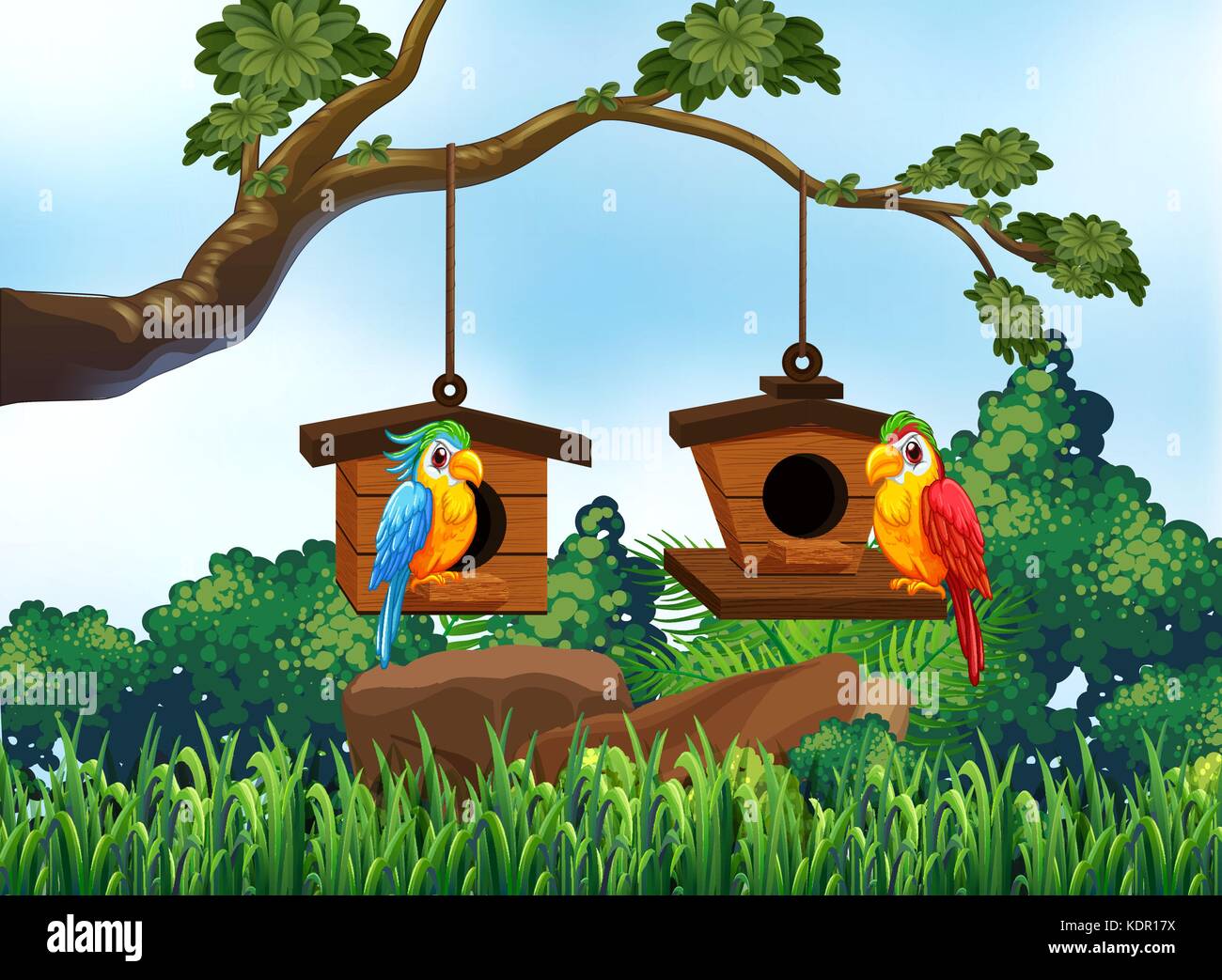 Garden scene with two parrots illustration Stock Vector Image & Art - Alamy