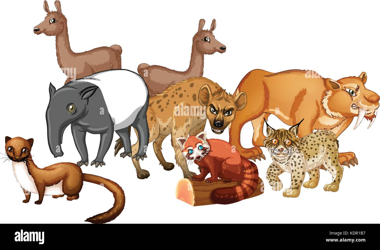 Group of wild animals illustration Stock Vector Image & Art - Alamy