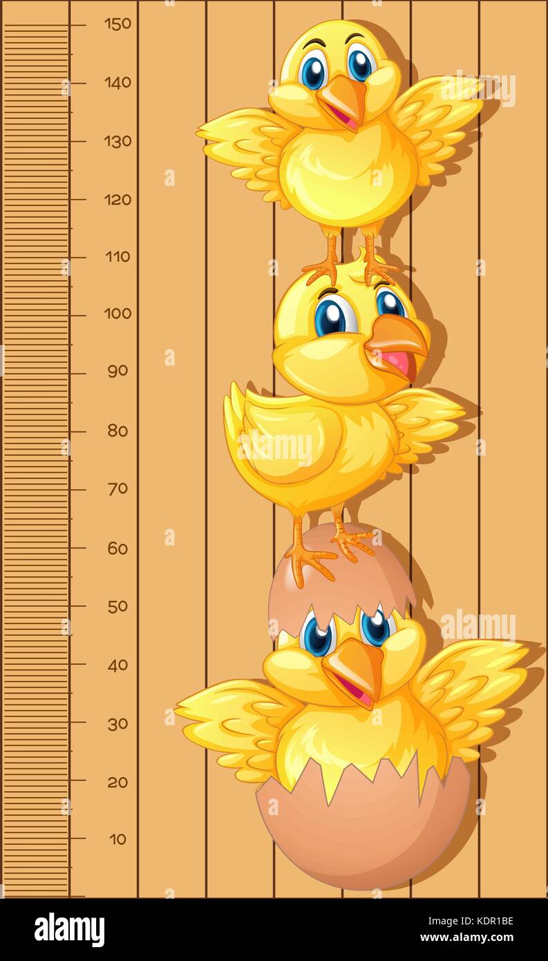 Measuring chick Stock Vector Images - Alamy