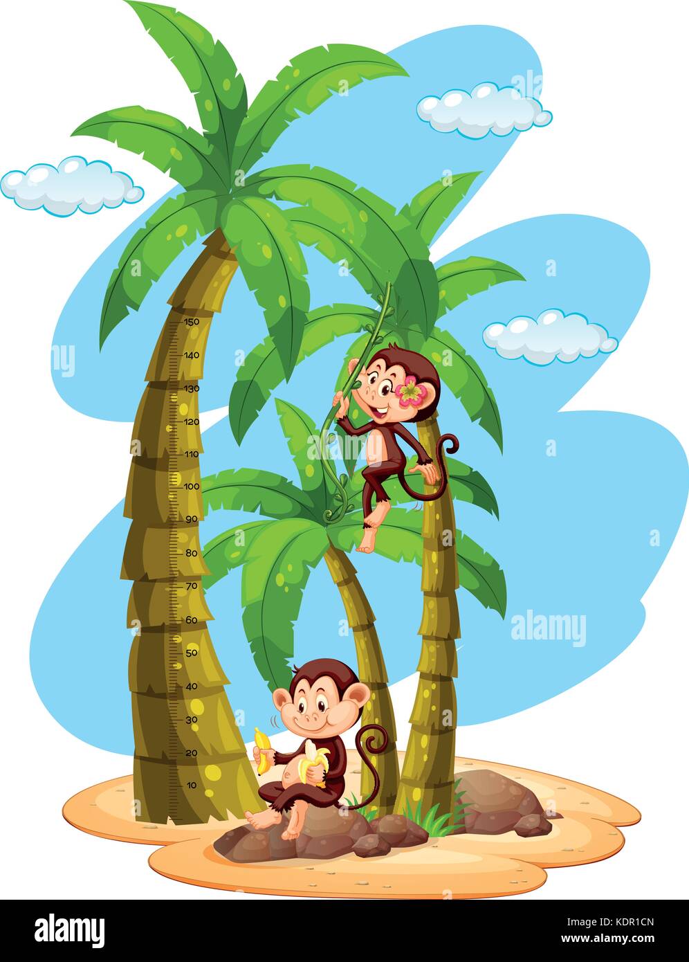 Growth chart ruler with two monkeys on tree illustration Stock Vector ...