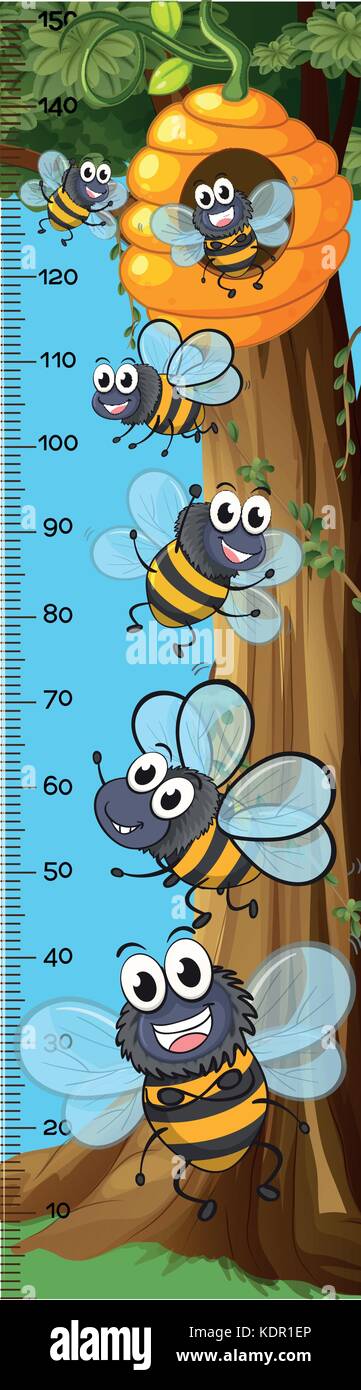 height measurement chart bees flying illustration Stock Vector Image ...