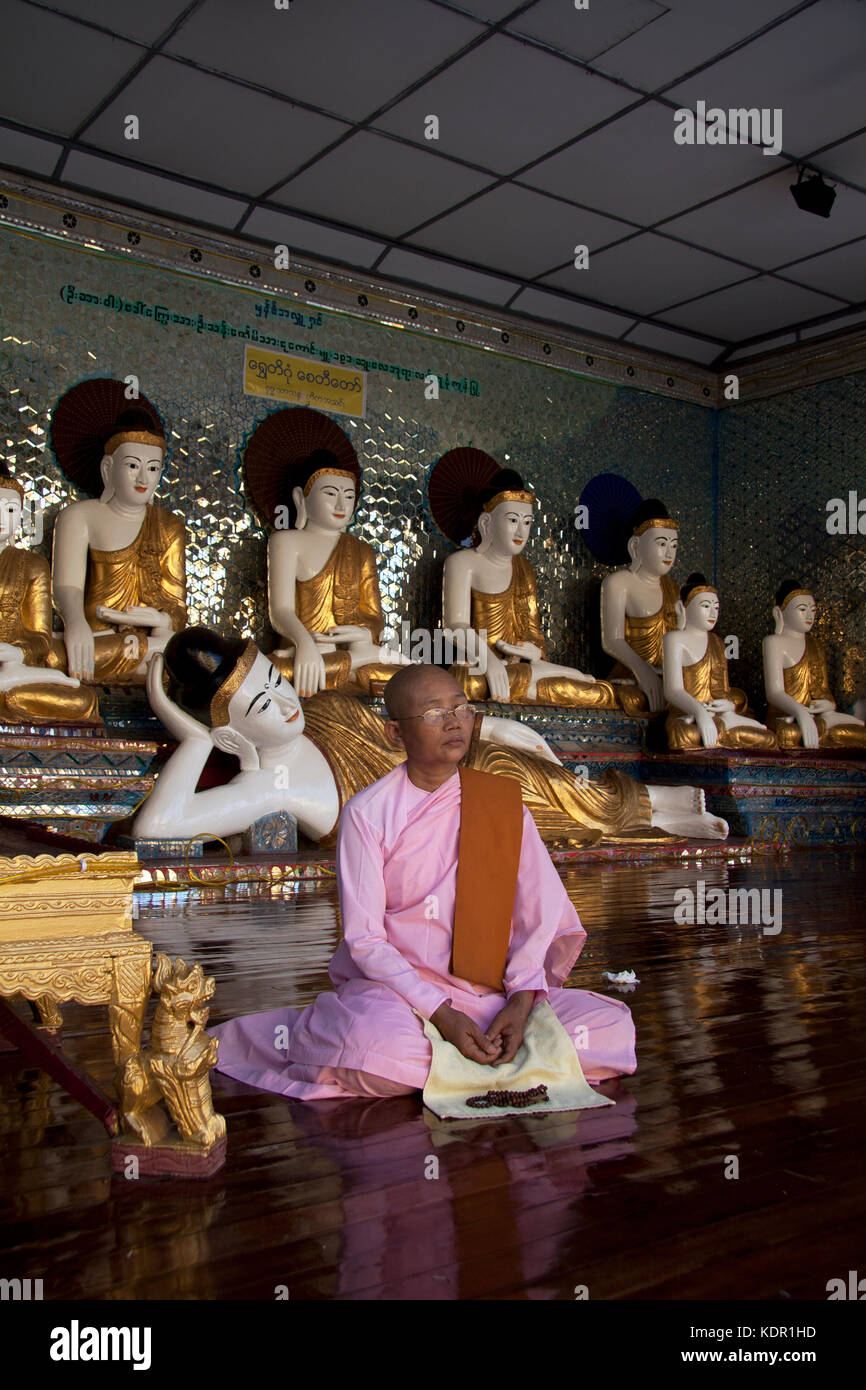 Myanmar, Yangon, Burmese Buddhist Nun at Schwedagon Pagoda Stock Photo ...