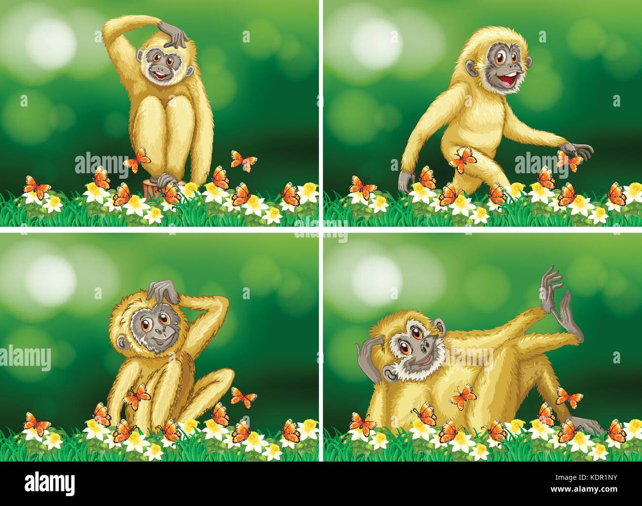 Cute gibbon in four scenes illustration Stock Vector Image & Art - Alamy