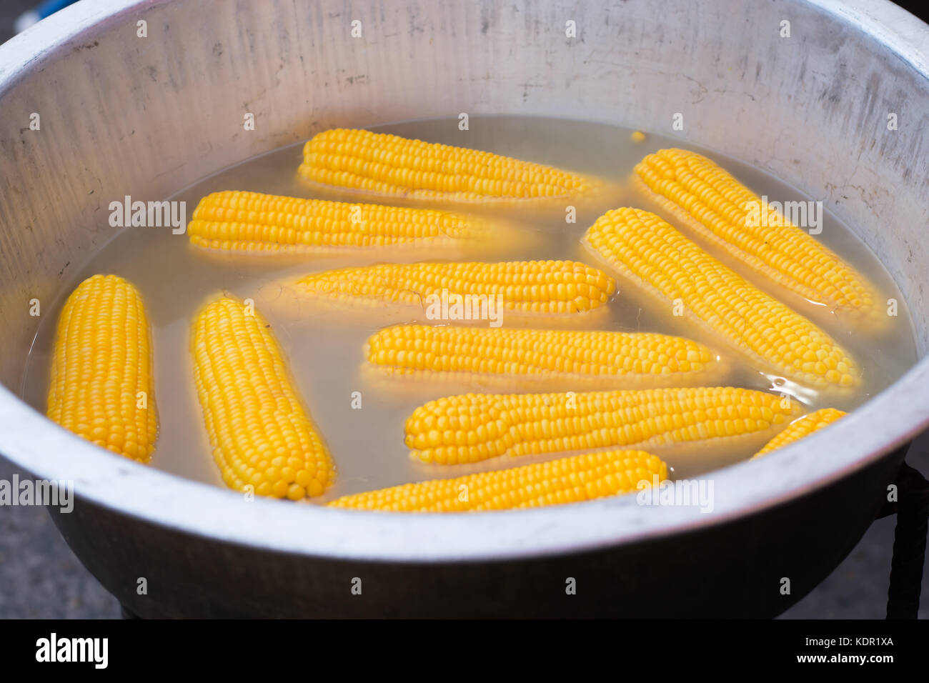 corn boiling in pot Stock Photo - Alamy