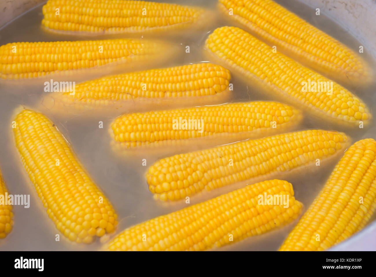 corn boiling in pot Stock Photo - Alamy