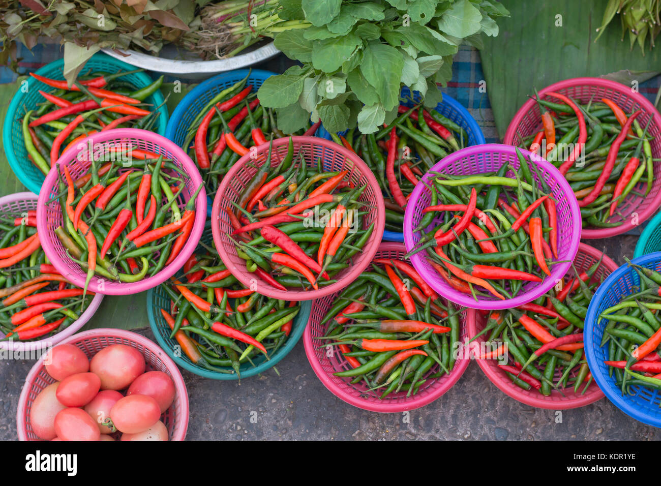 Hot chilli Paprika (Chilli Padi, Bird's Eye Chilli, Bird Chilli, Thai ...