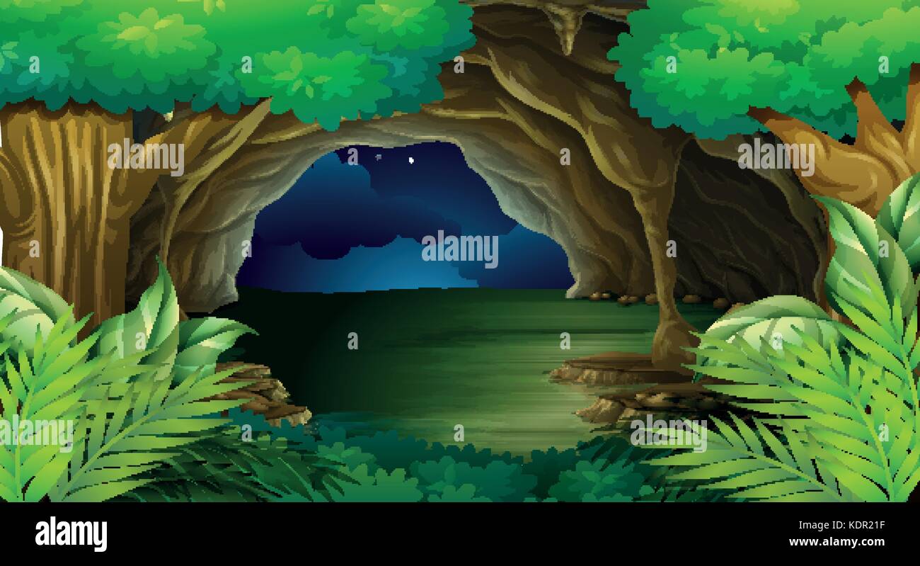 Forest scene at night time illustration Stock Vector Image & Art - Alamy