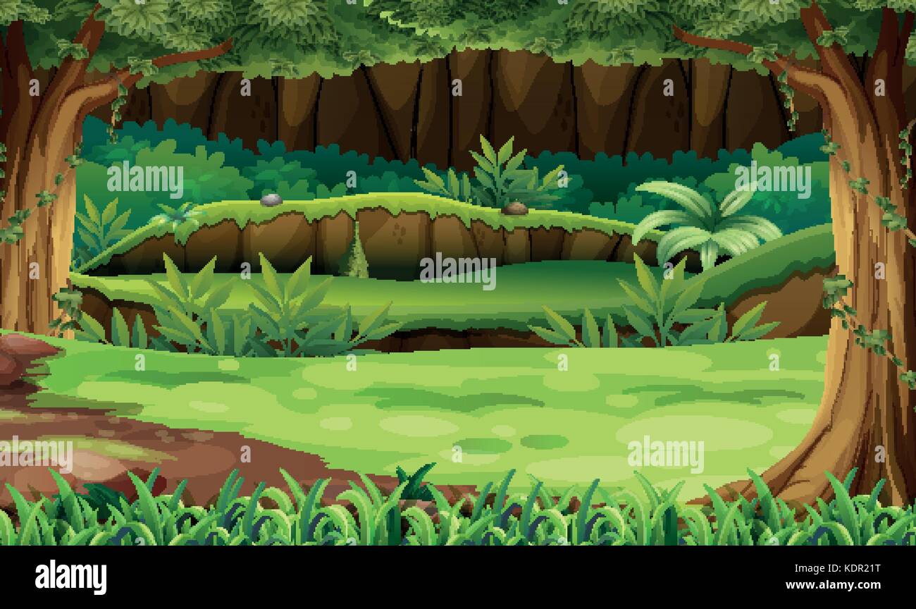 Forest scene with trees and field illustration Stock Vector Image & Art ...