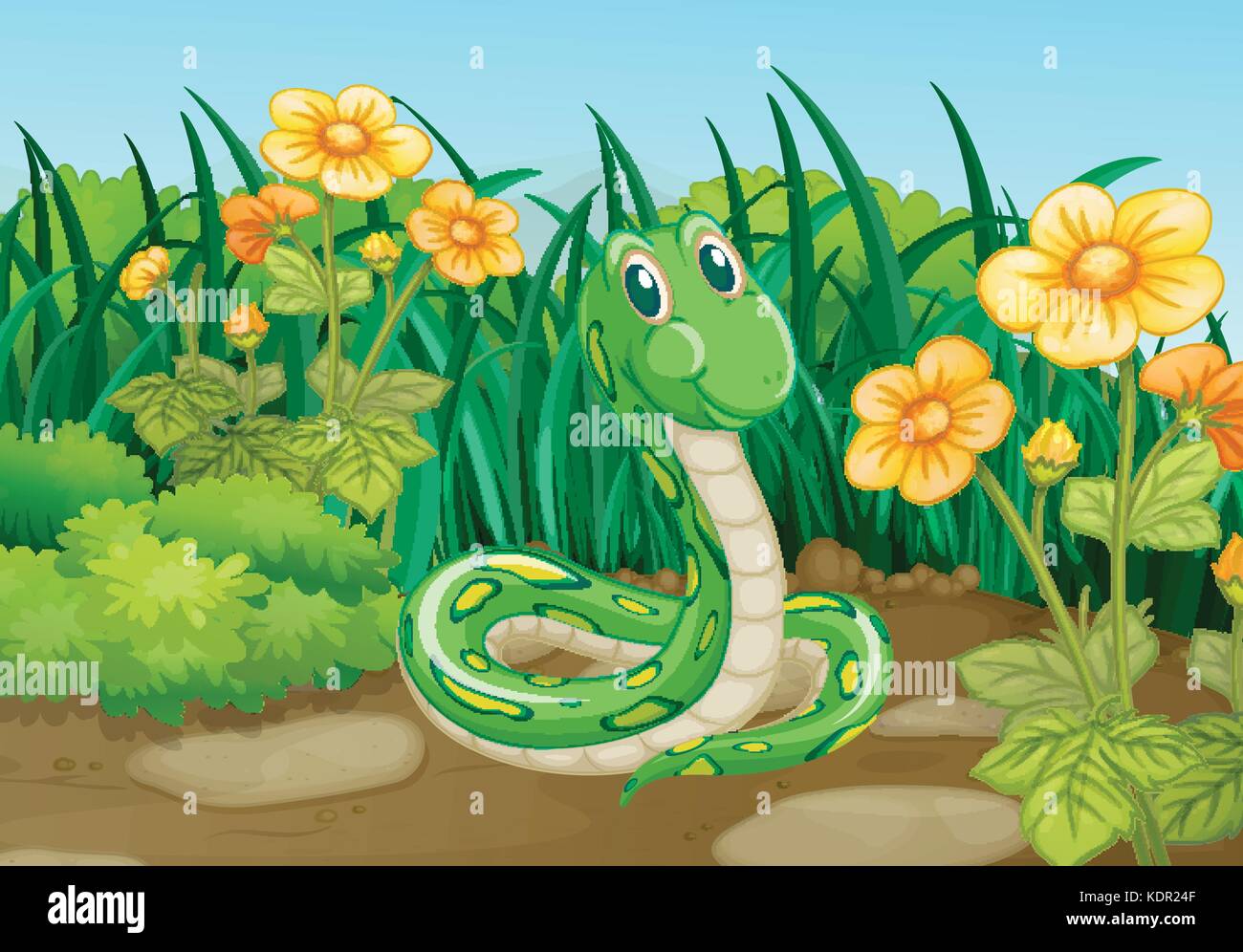 Green snake in garden illustration Stock Vector Image & Art - Alamy
