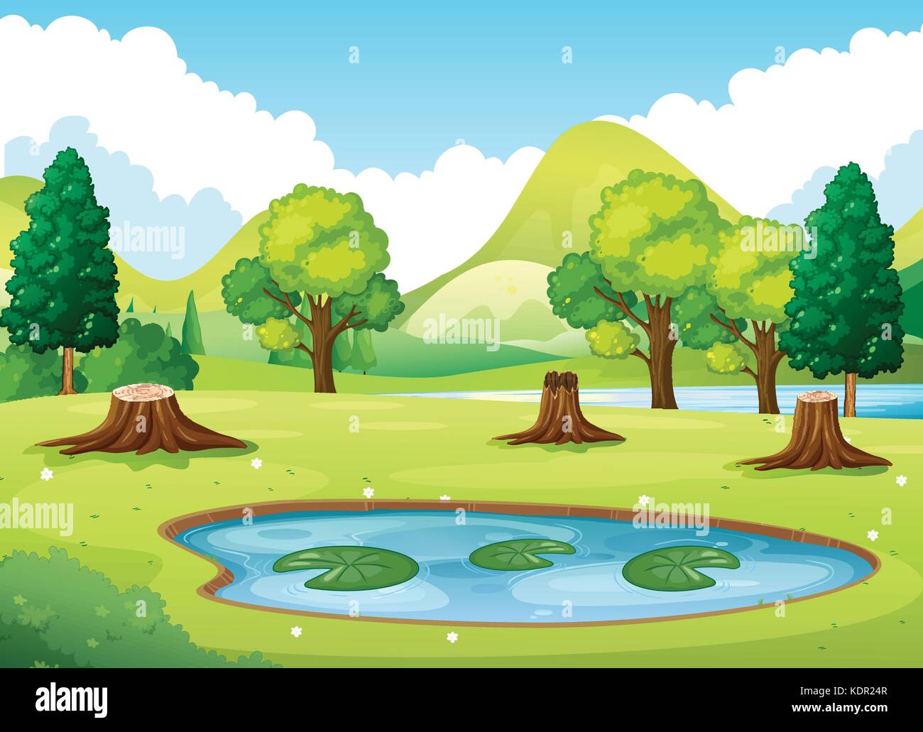 Forest scene with little pond illustration Stock Vector Image & Art - Alamy
