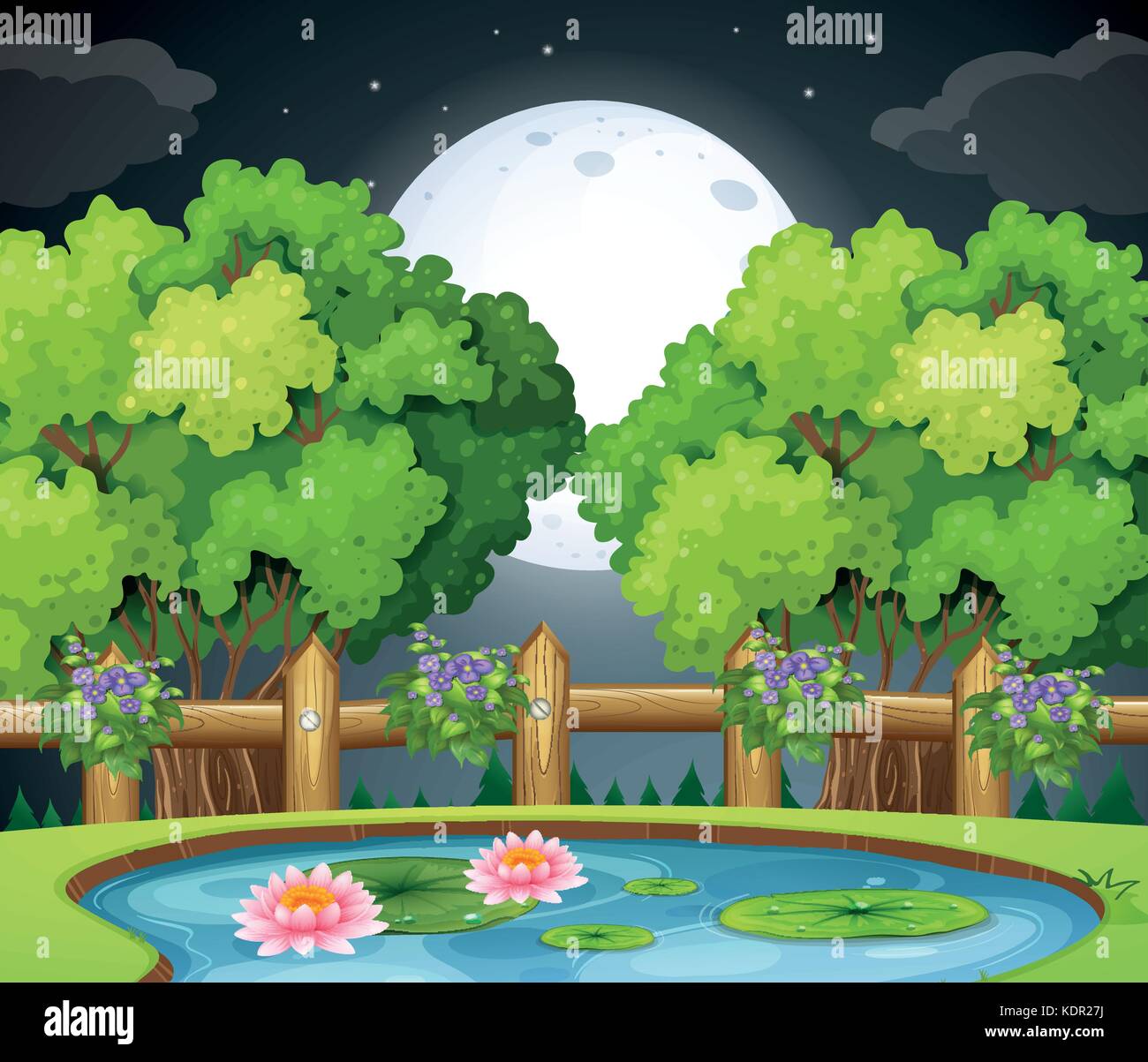 Pond scene at night time illustration Stock Vector Image & Art - Alamy
