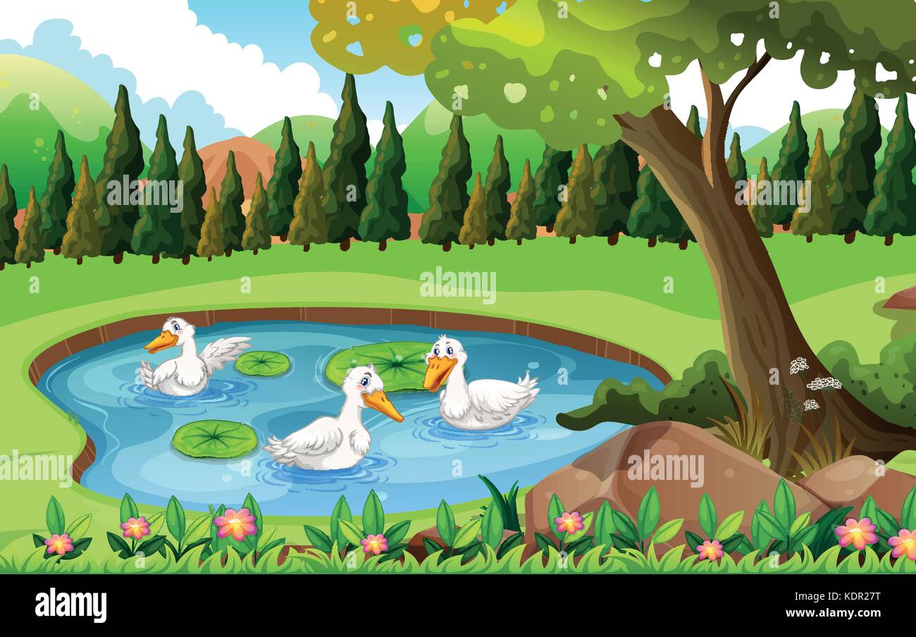 Ducks In A Pond Clipart Border