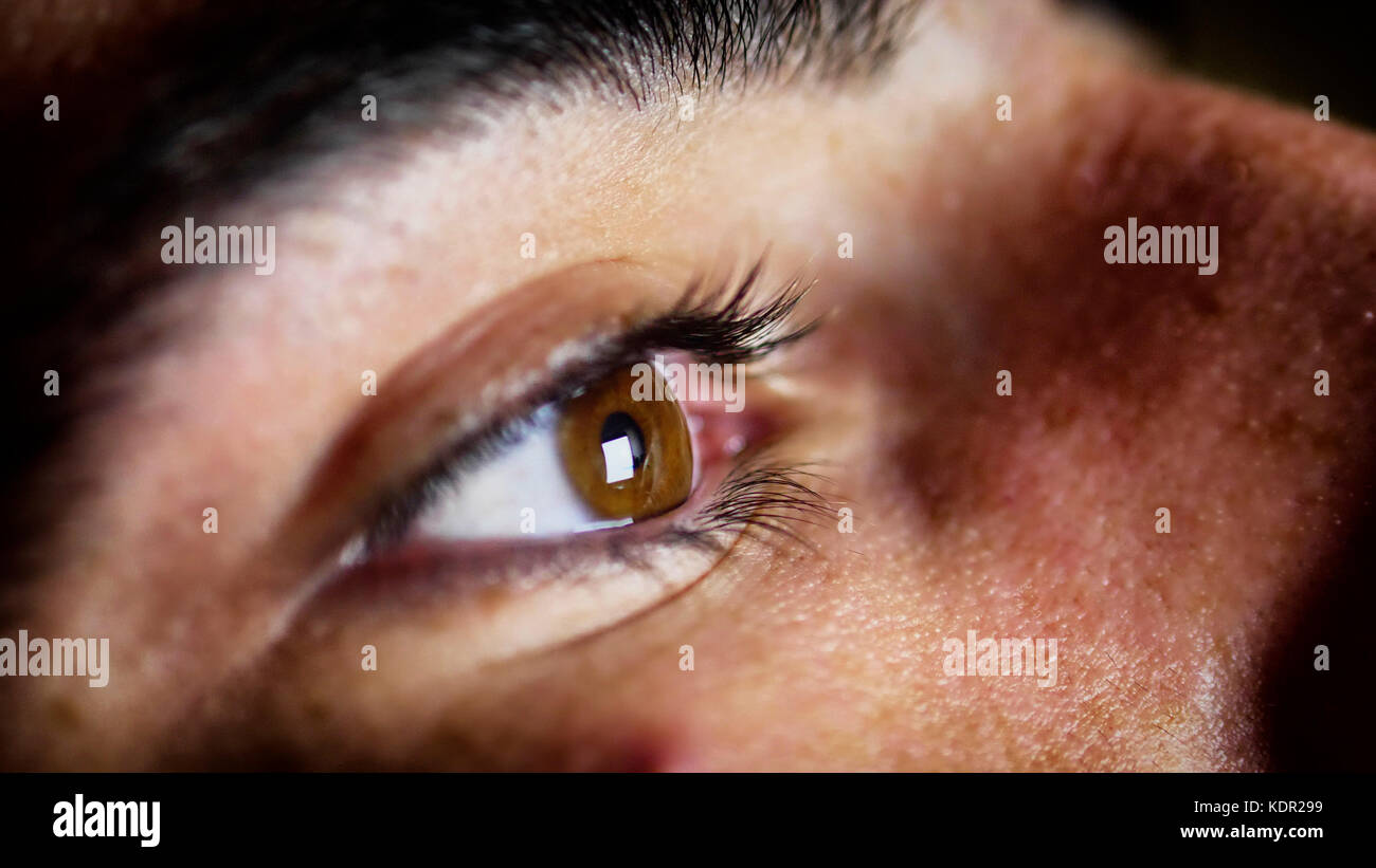 Face And Computer Screen And Closeup Stock Photos & Face And Computer ...