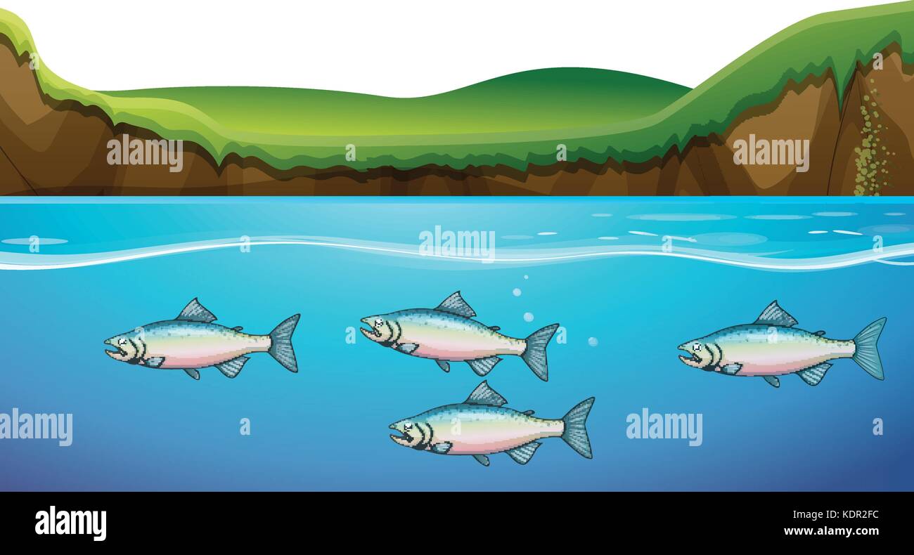 Scene with fish under the river illustration Stock Vector Image & Art ...