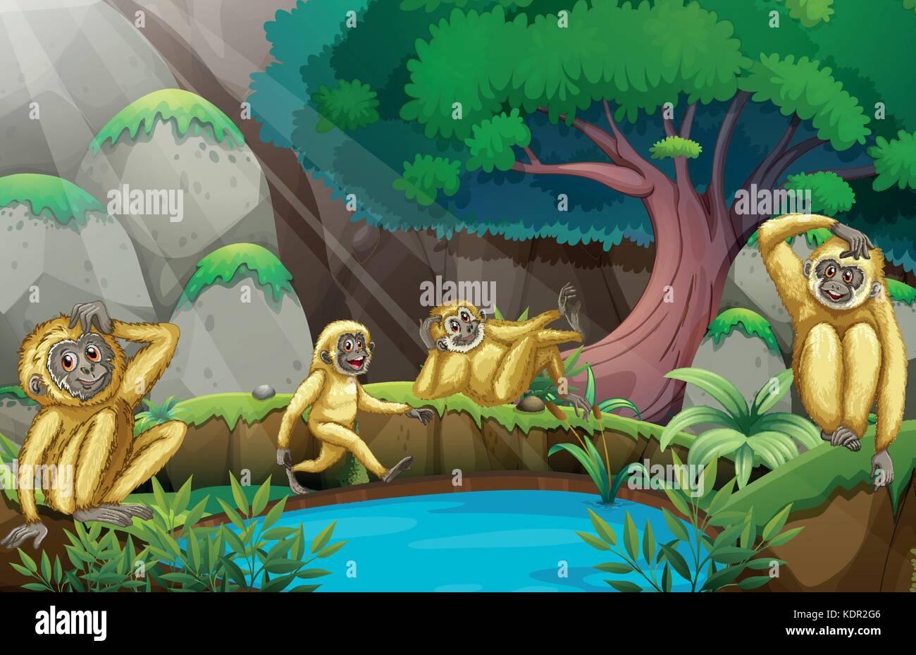 Four gibbons in the forest illustration Stock Vector Image & Art - Alamy
