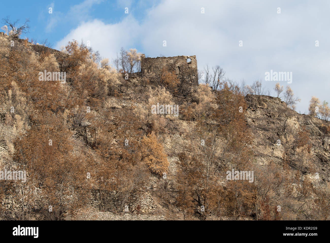 Countryside destroyed by fire Stock Photo - Alamy