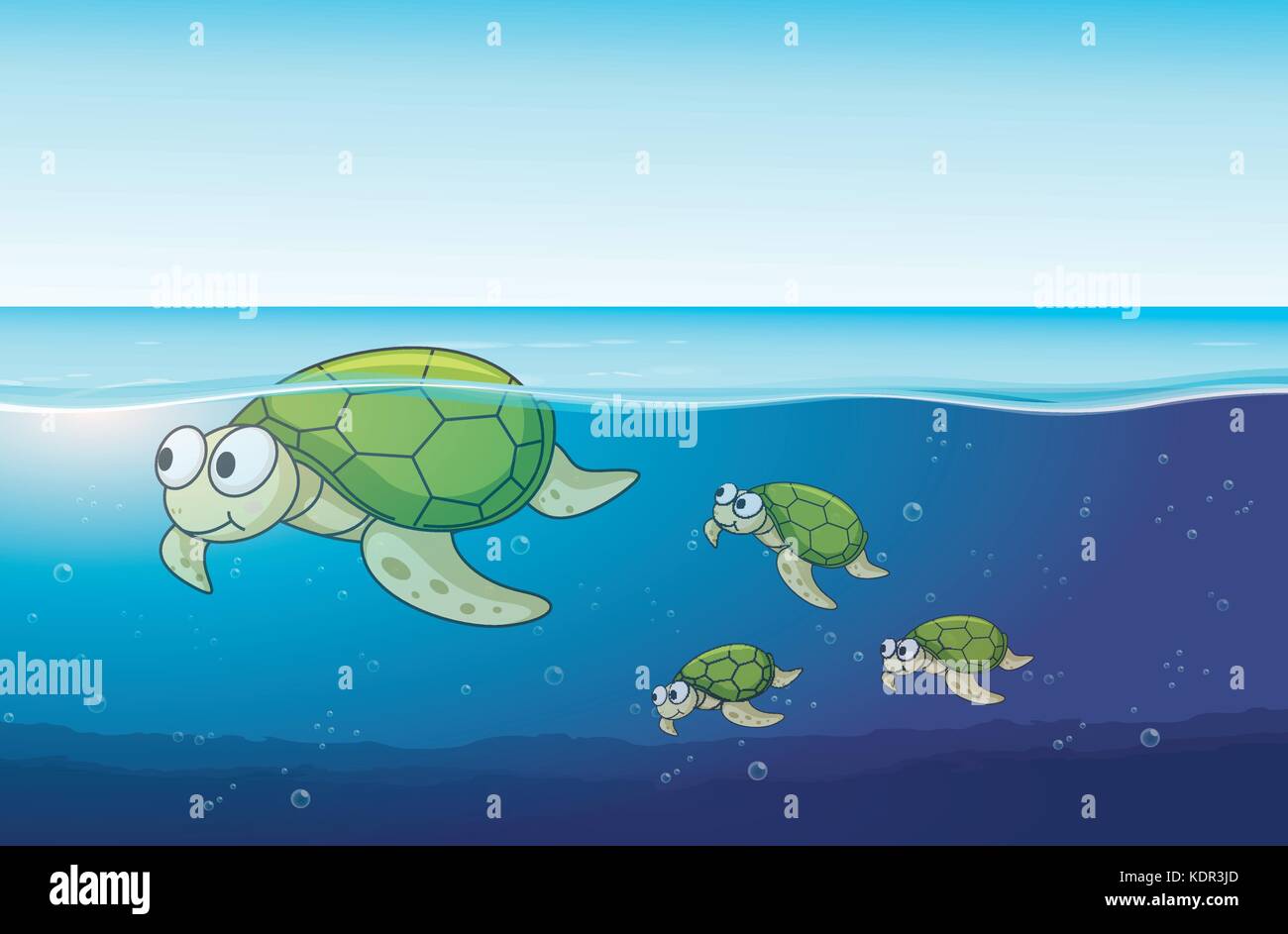 Aquatic turtle swimming in Stock Vector Images - Alamy