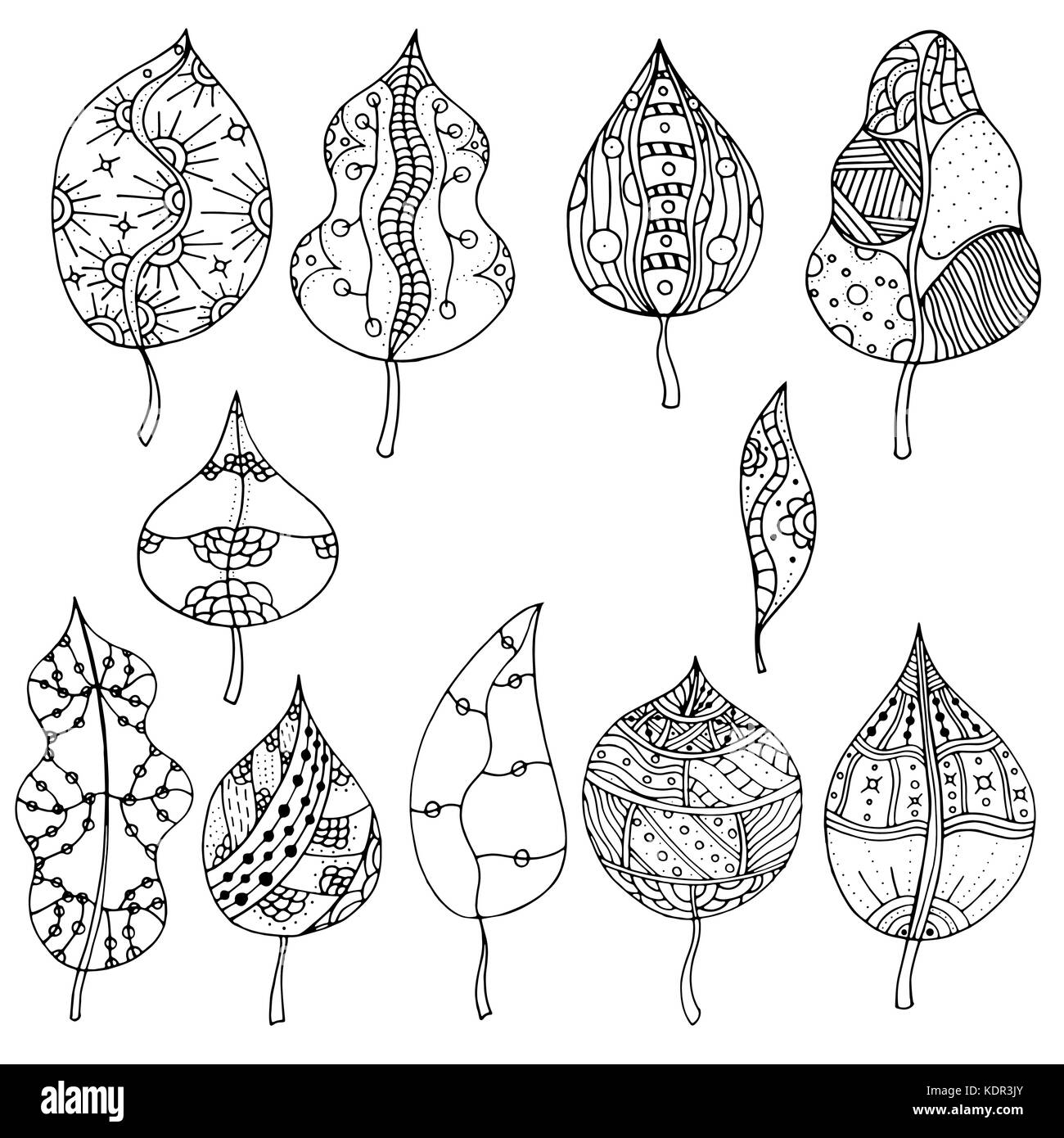 Hand drawn leafes doodle Vector Illustration. Isolated on white Stock ...