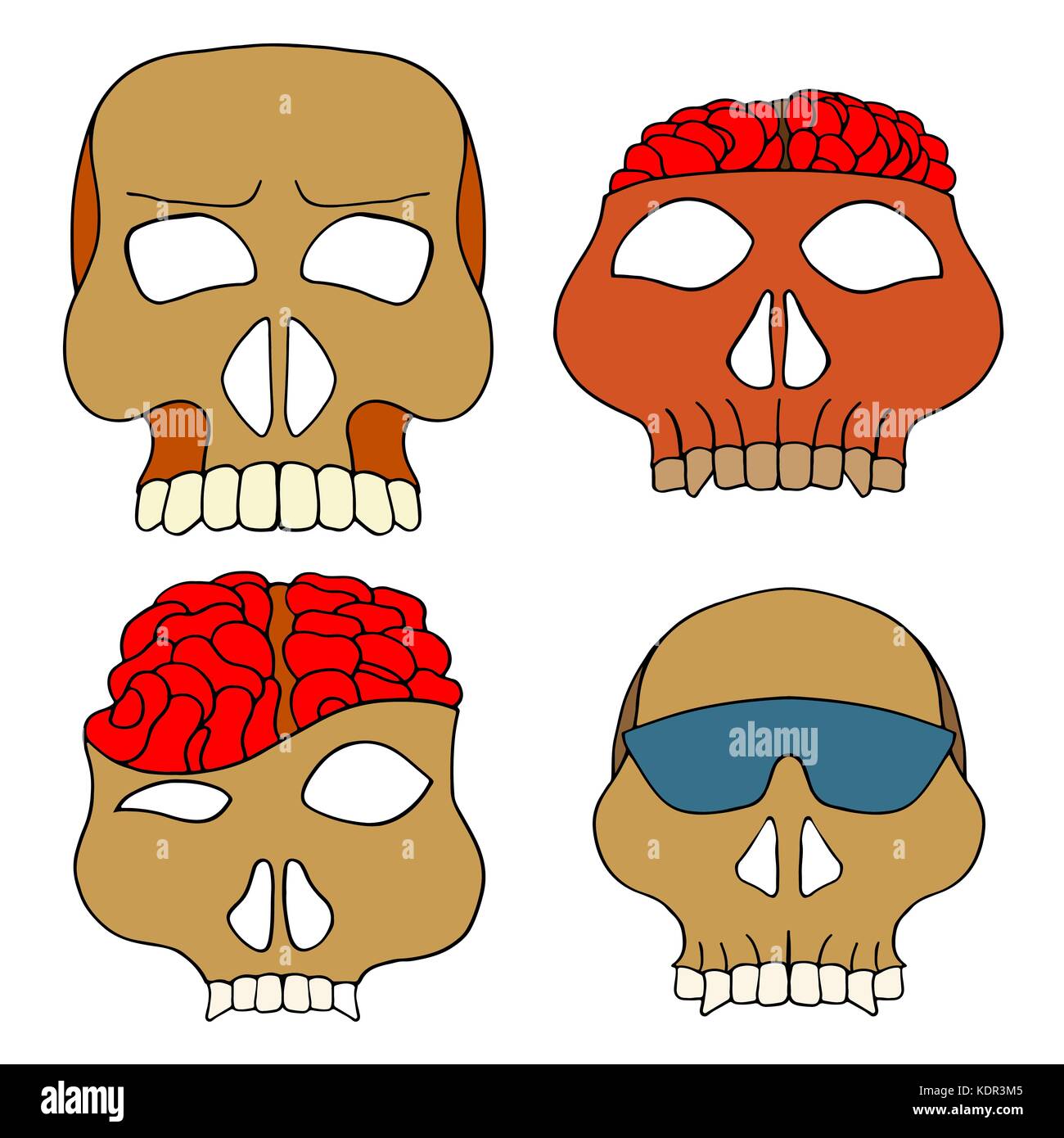 Set of four Hand Drawn Skulls Vector illustration Stock Vector Image ...