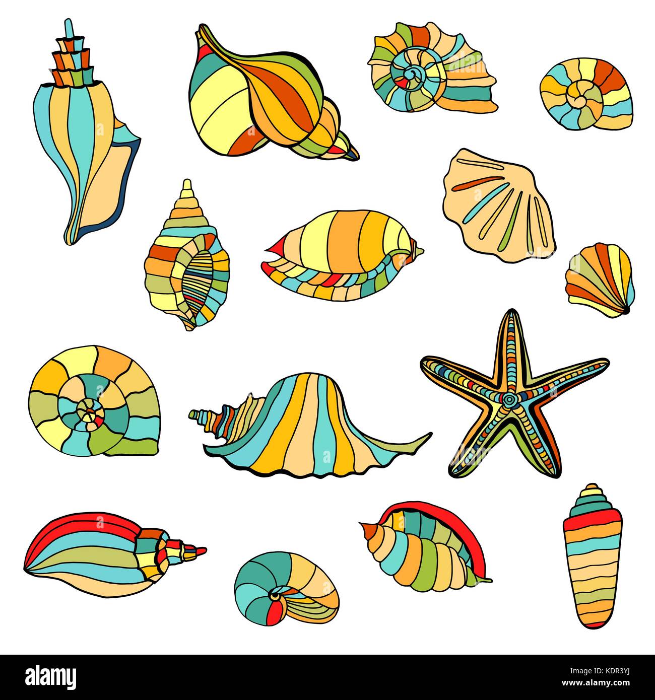 Hand drawn shell seamless background. Vector illustration image Stock ...