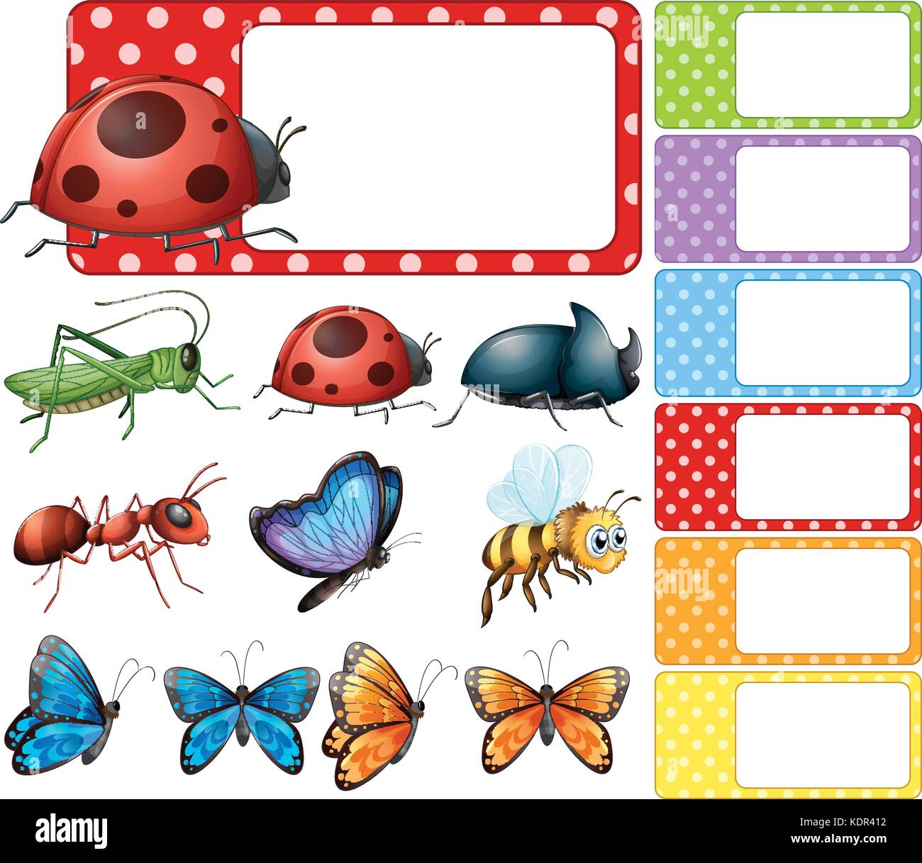 Label template with different types of insects illustration Stock ...