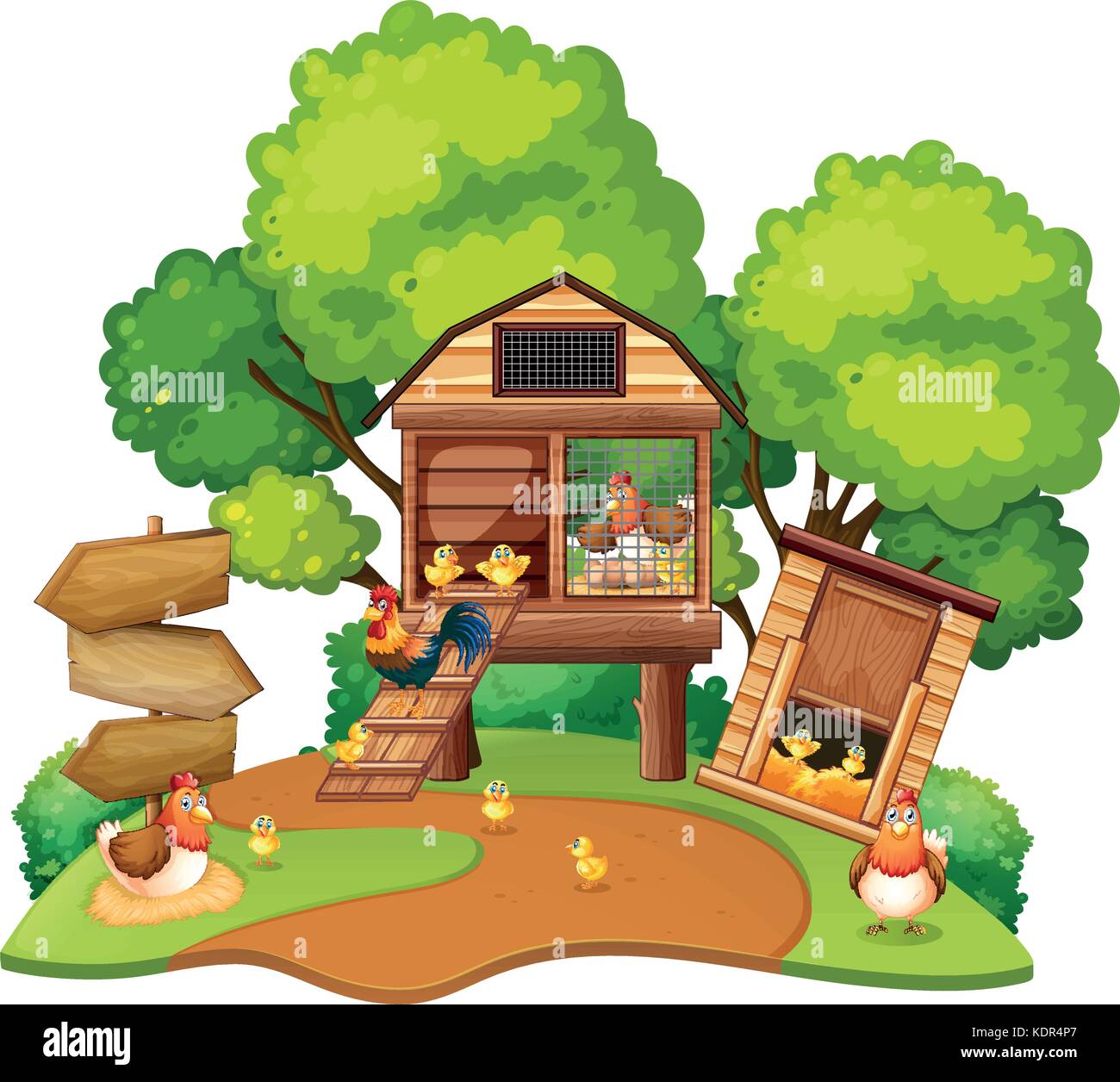 Chickens lives in chicken coops illustration Stock Vector Image & Art ...