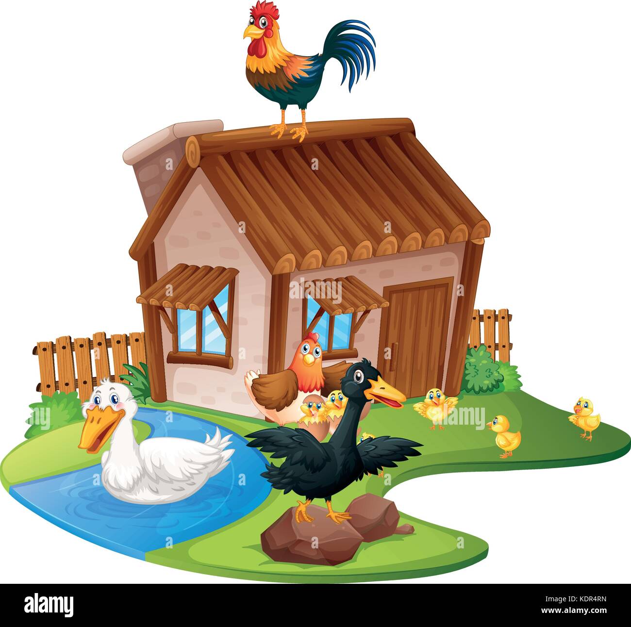 Ducks and chickens on the farm illustration Stock Vector Image & Art ...