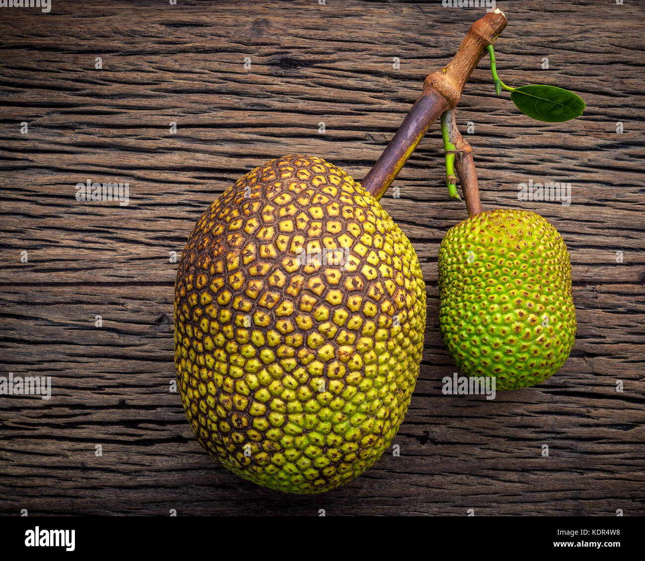 Sweet Jack fruit on shabby wooden background .Tropical fruit sweet and ...