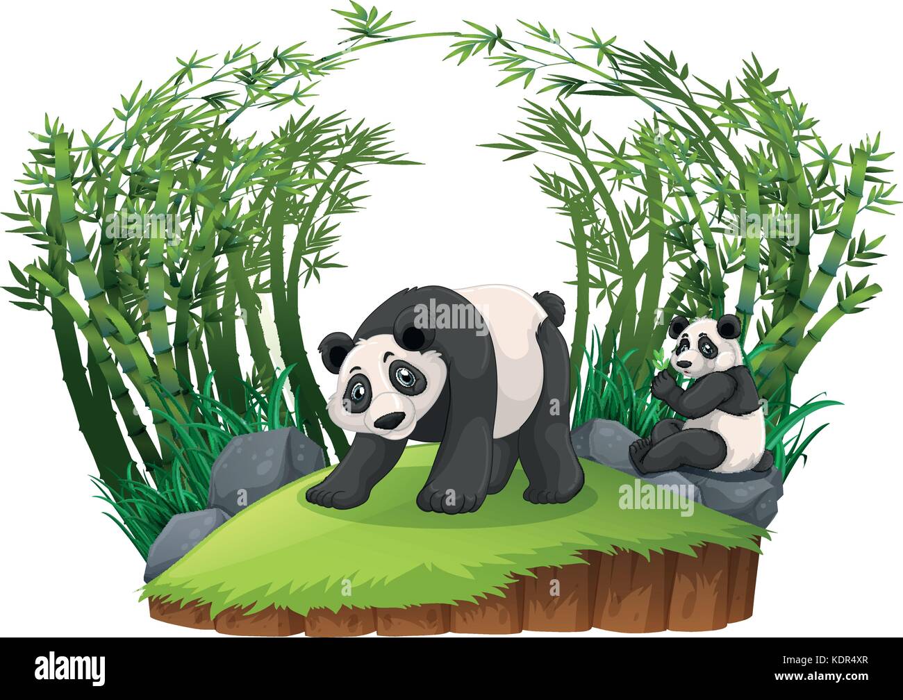 Two Pandas In Forest High Resolution Stock Photography and Images - Alamy