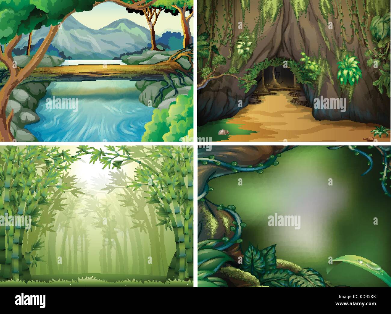 Four different forest scenes illustration Stock Vector Image & Art - Alamy