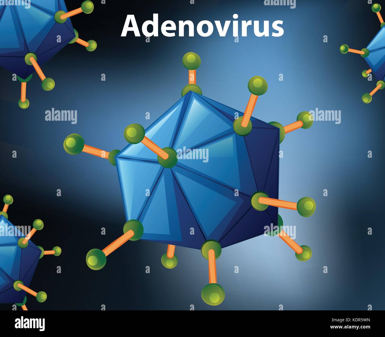 Adenovirus vector vectors hi-res stock photography and images - Alamy