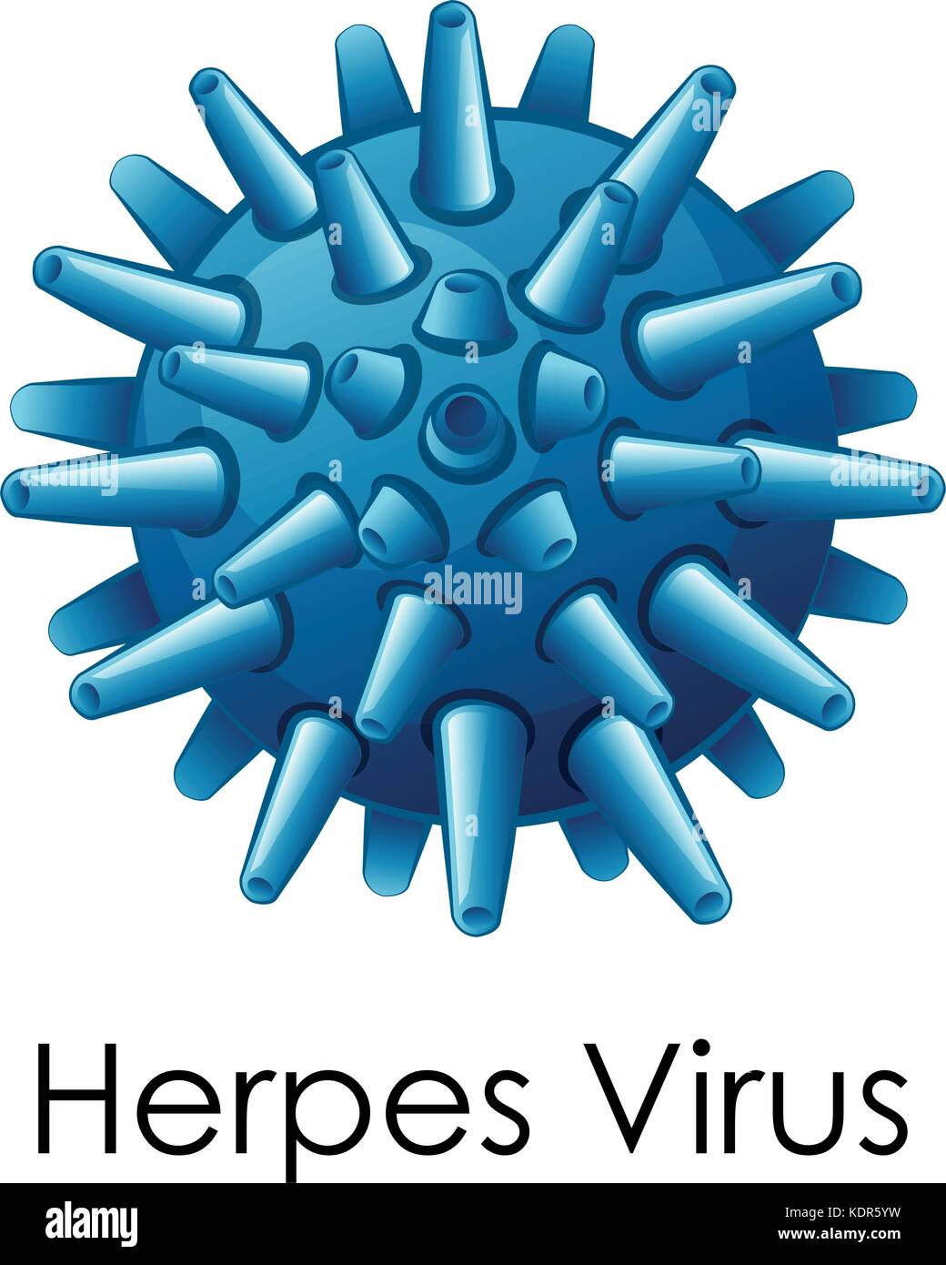 Herpes virus on white background illustration Stock Vector Image & Art ...