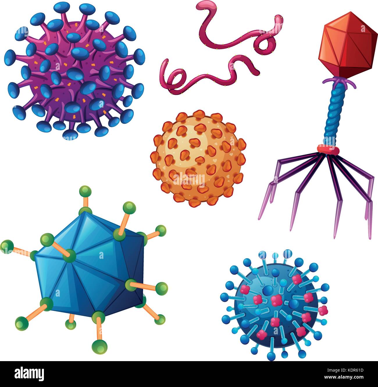 Different types of viruses on white background illustration Stock ...