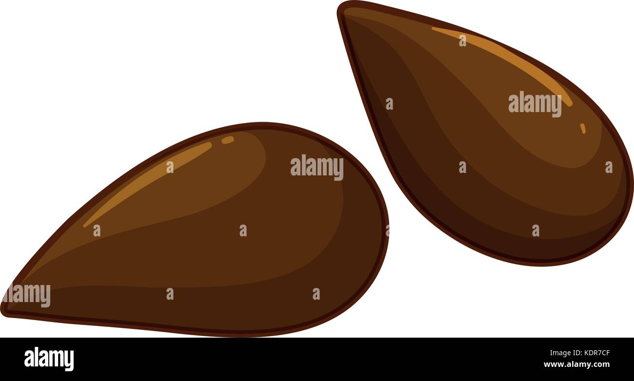 Two seeds of apple fruit illustration Stock Vector Image & Art - Alamy