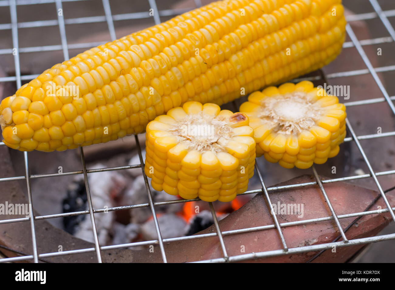 Several corn cobs hi-res stock photography and images - Alamy