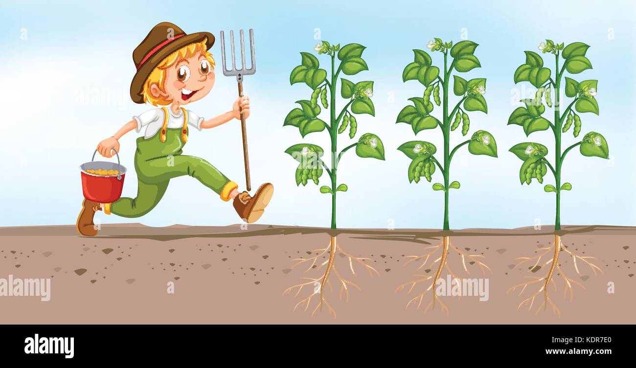 Farmer planting in the field illustration Stock Vector Image & Art - Alamy