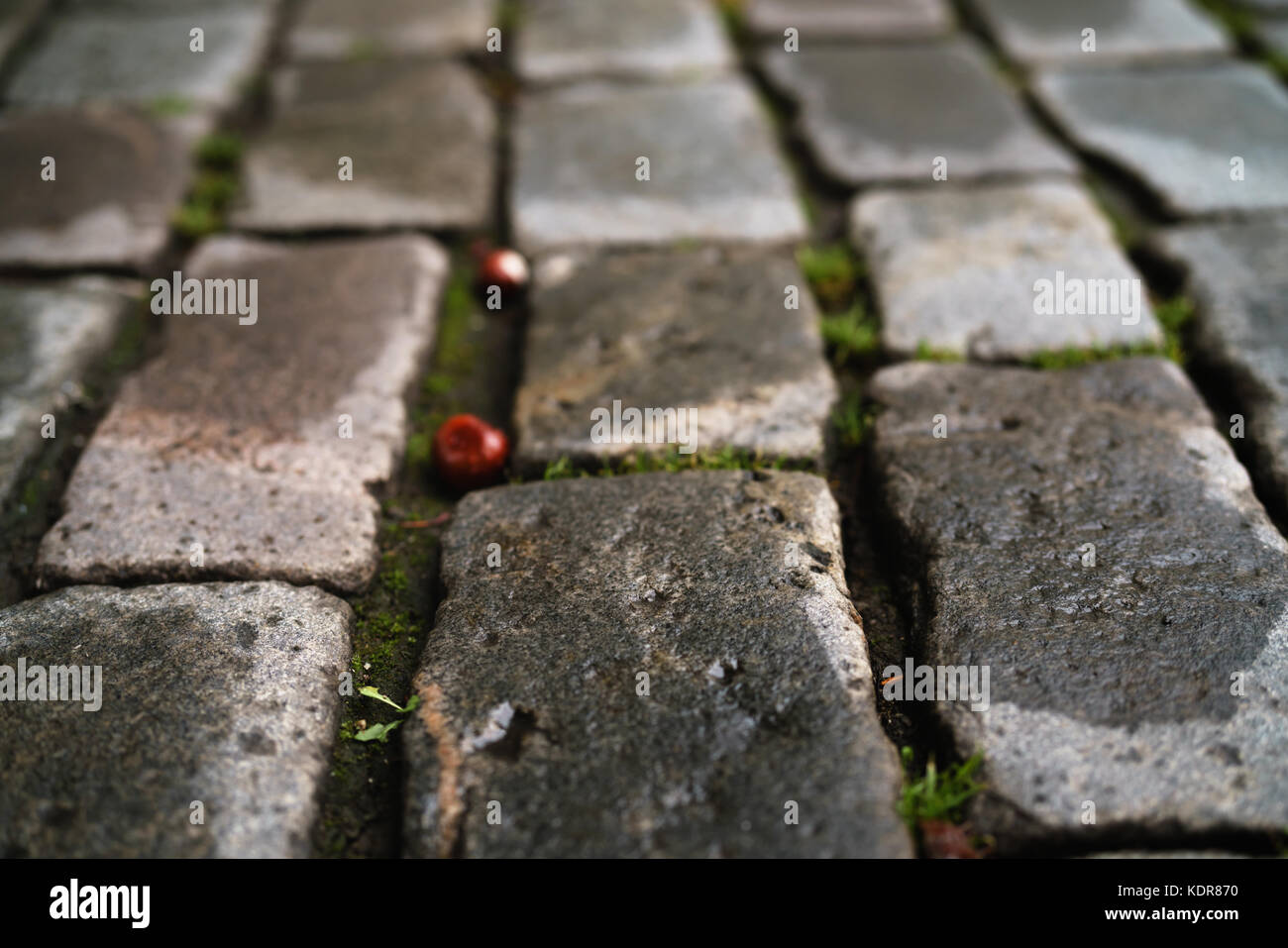 Closeup old street wet stone hi-res stock photography and images - Alamy