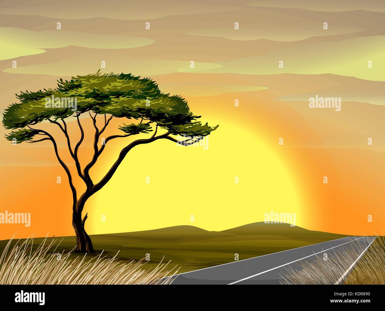 Savanna scene at sunset illustration Stock Vector Image & Art - Alamy