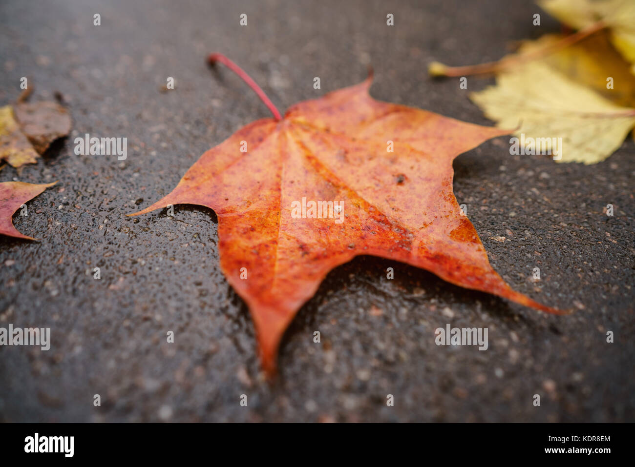Red color asphalt hi-res stock photography and images - Alamy