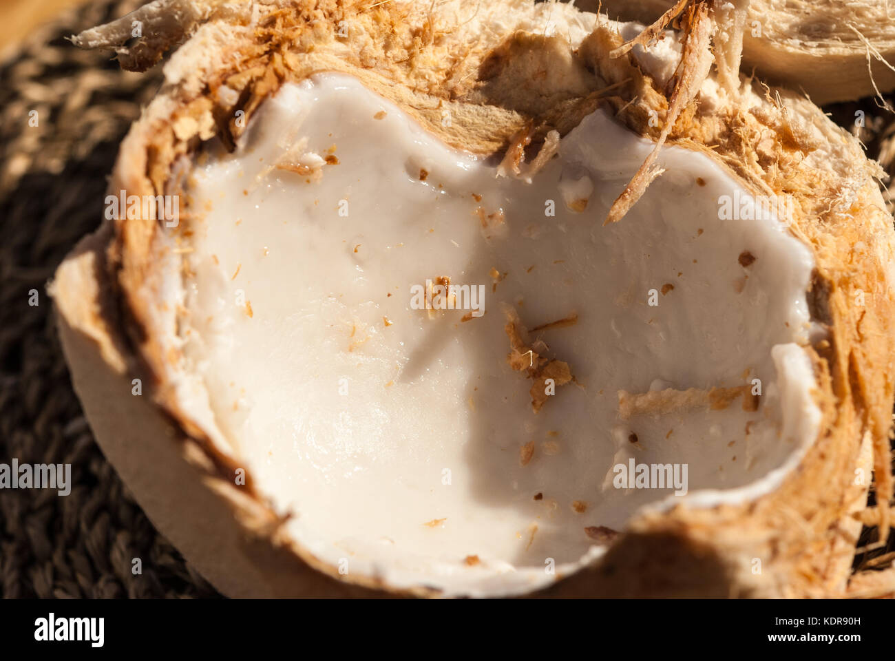 Young coconut broken in half on table in warm sunlight Stock Photo - Alamy