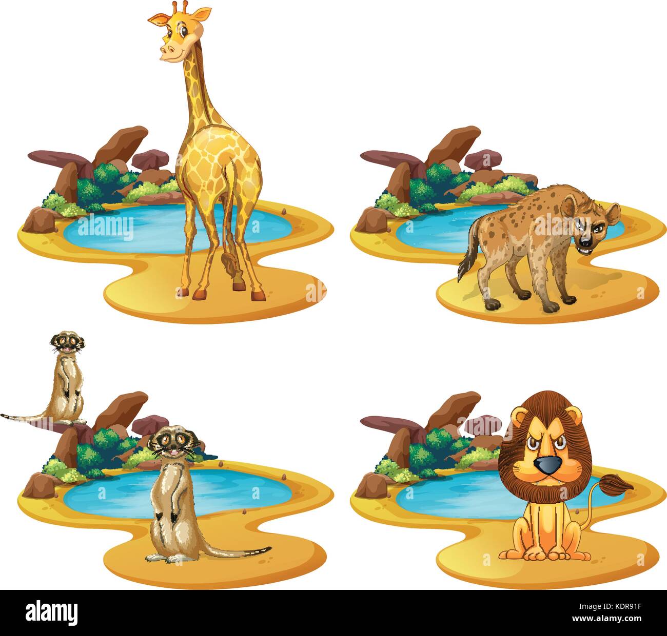 Four types of animals by the pond illustration Stock Vector Image & Art ...