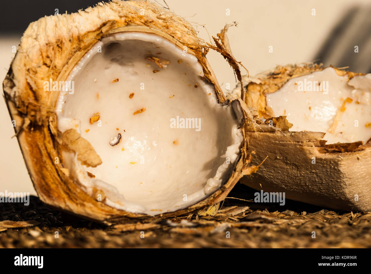 Young coconut broken in half on table in warm sunlight Stock Photo - Alamy