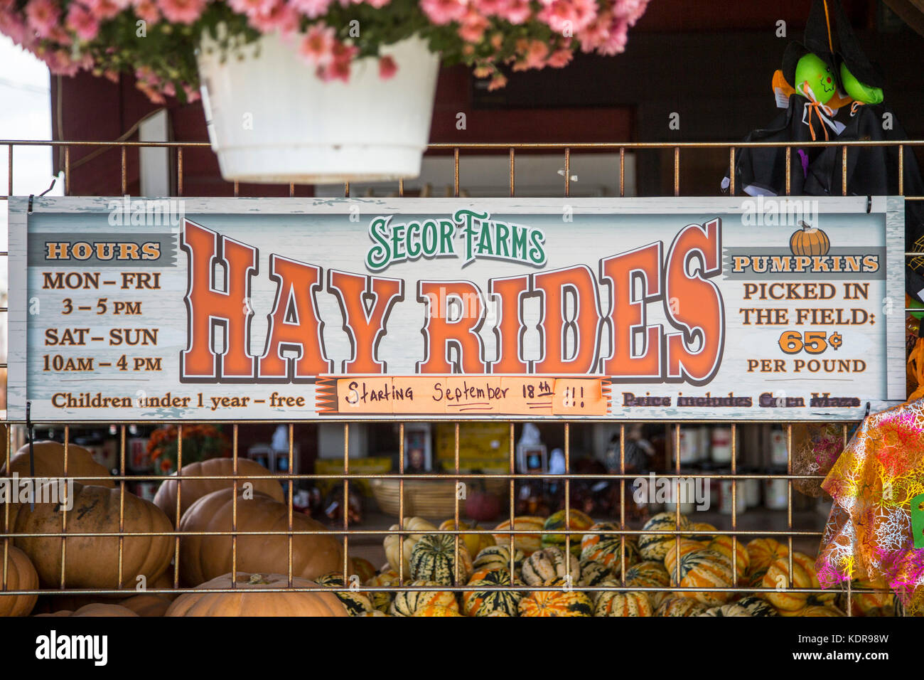 Hayride hi-res stock photography and images - Alamy