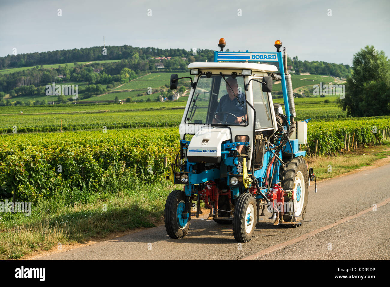 Tractor on the road in the vineyard near of the Beaune, Burgundy ...