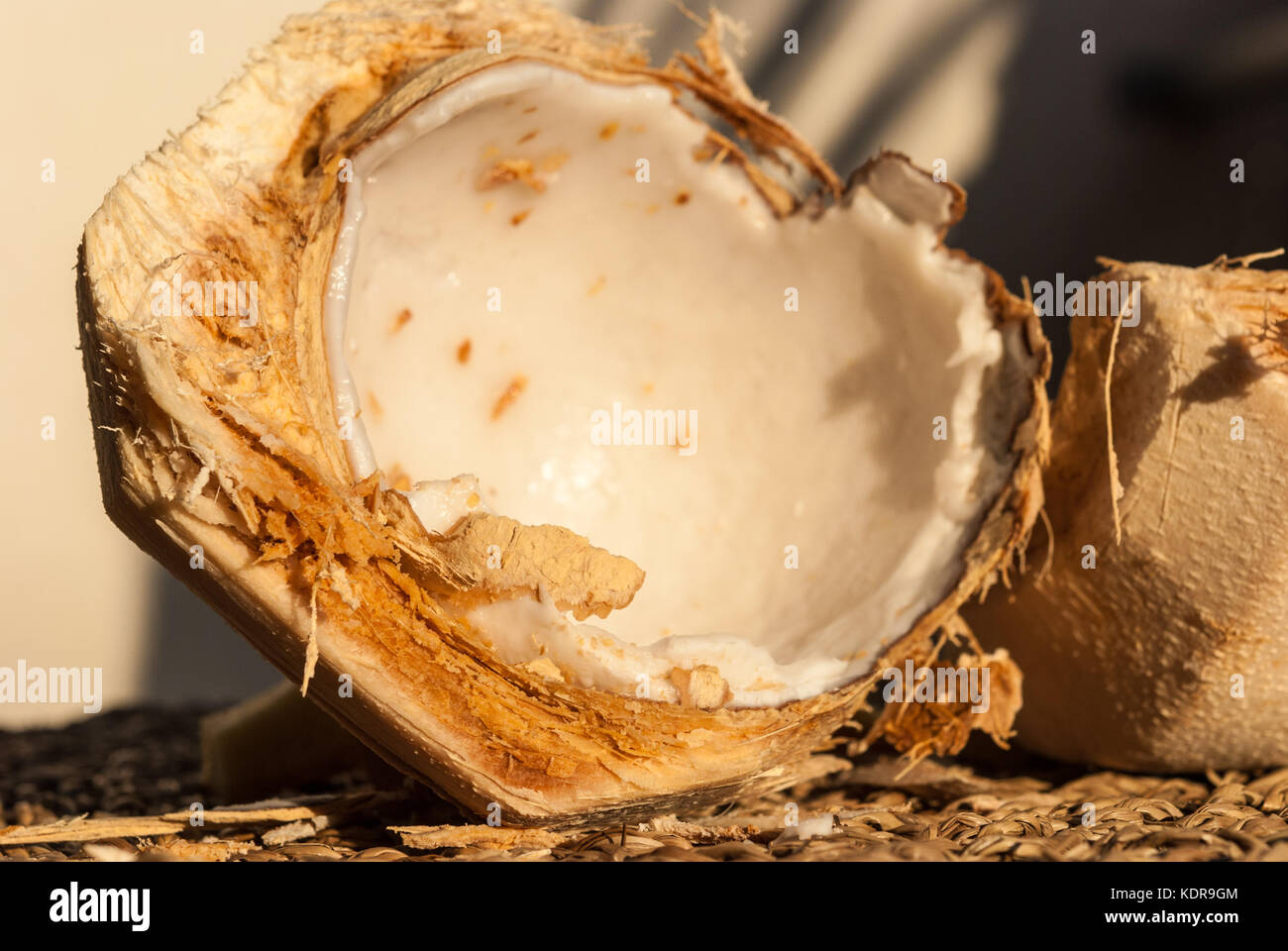 Young coconut broken in half on table in warm sunlight Stock Photo - Alamy